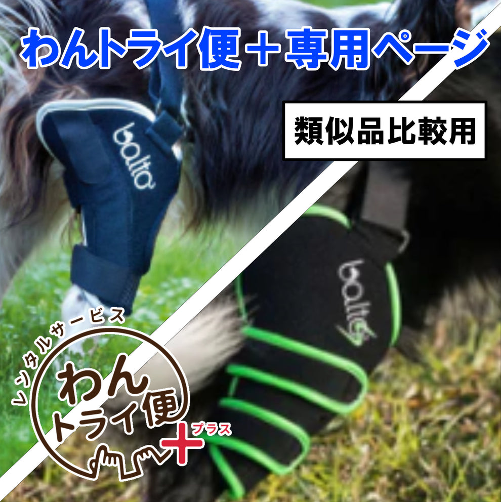 【レンタルサービスわんトライ便+】 BALTO SPORTS AGIRE＆BT JUMP 類似品比較用 【7日間】 – anifull